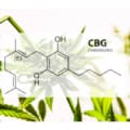Benefits of CBG (Cannabigerol) - The Real CBD