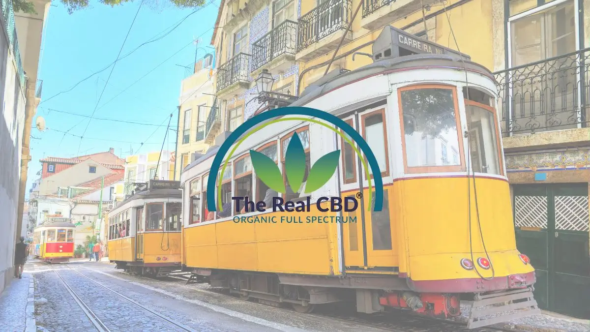 Acheter du CBD à Lisbonne - Le vrai CBD